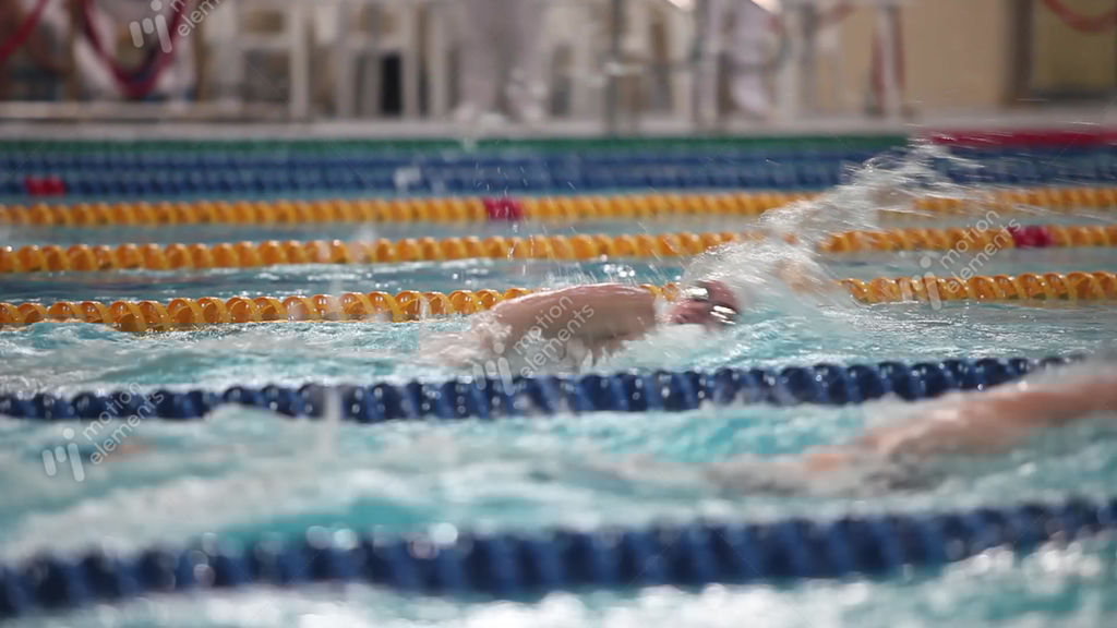 Swimming Competition Women Freestyle Low Angle View Beside Stock video ...