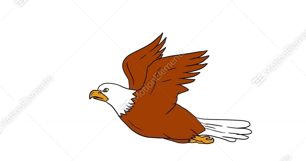 Bald Eagle Flying 2D Animation Stock Animation | 10489495