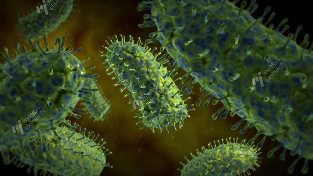 Microscopic Visualization Of Rabies Virus Stock Animation | 9396715