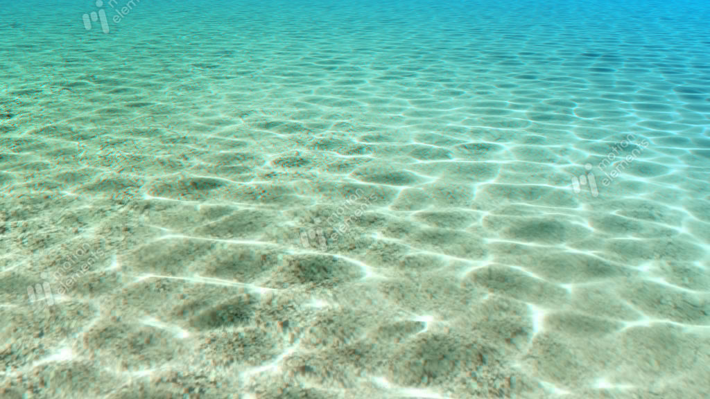 Summer Beach Beauty Stock Animation | 543174