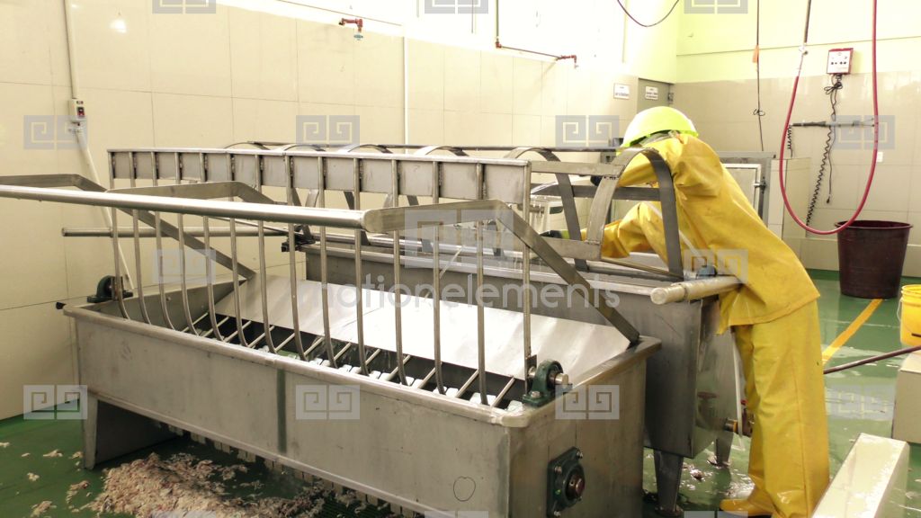 Equipment Cleaning And Sanitation In Slaughterhouse Stock video footage ...