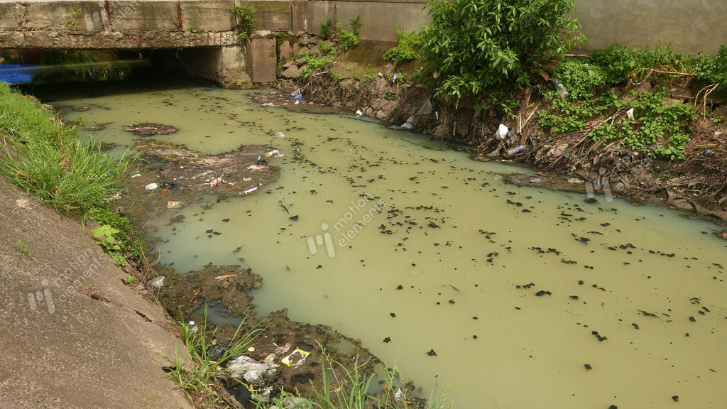 Green Dirty Flow, Shit Floating Over Raw Sewage Water Stream Stock ...