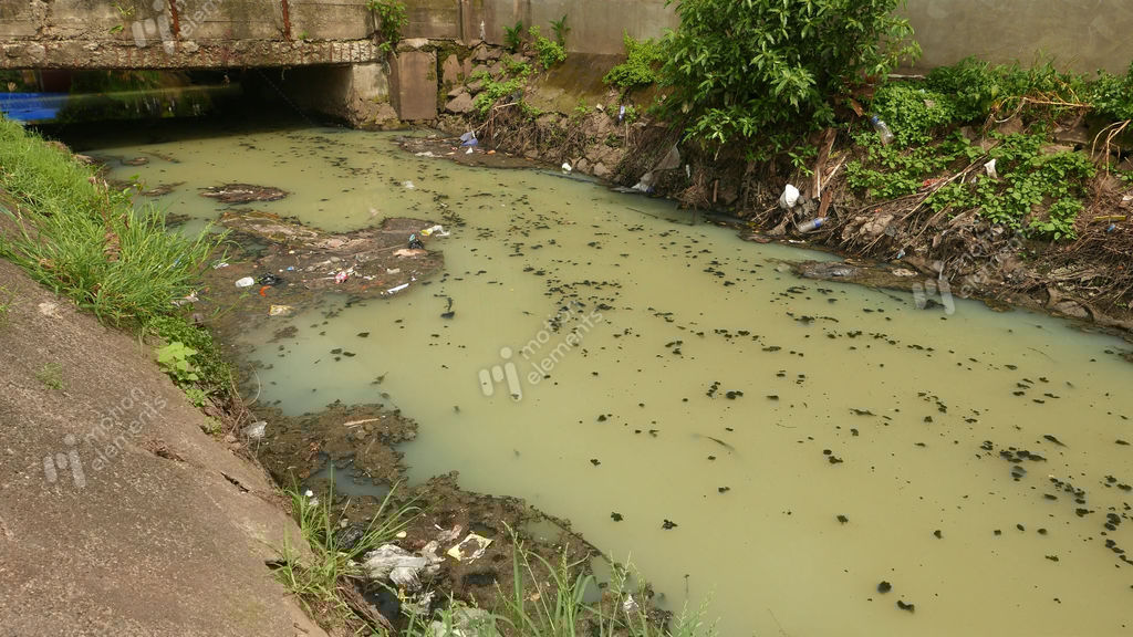 Green Dirty Flow, Shit Floating Over Raw Sewage Water Stream Stock ...